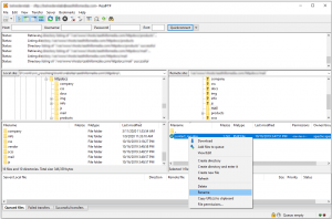 RealFTP Online Tutorial – Page 4 – Xiaoya's Lab