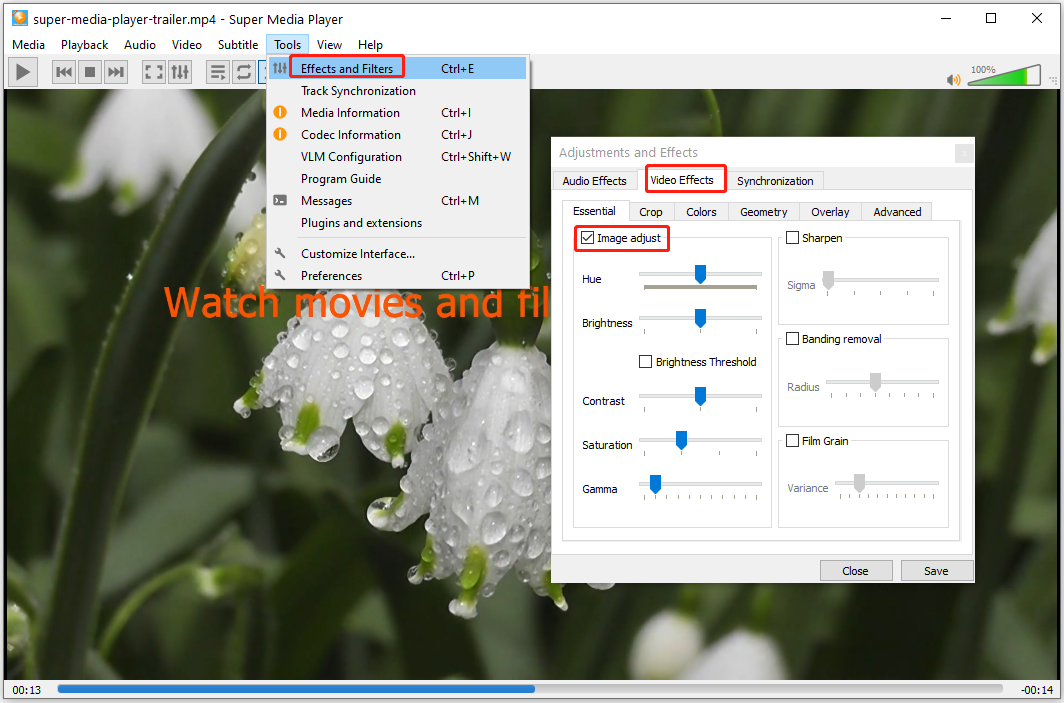 DVD and Blu-ray Player PLUS / File Viewer Max Media Player Online ...