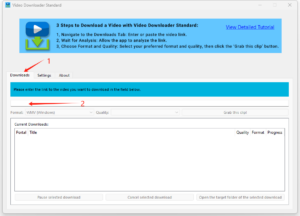 Video Downloader Standard Online Tutorial – Page 2 – Xiaoya's Lab