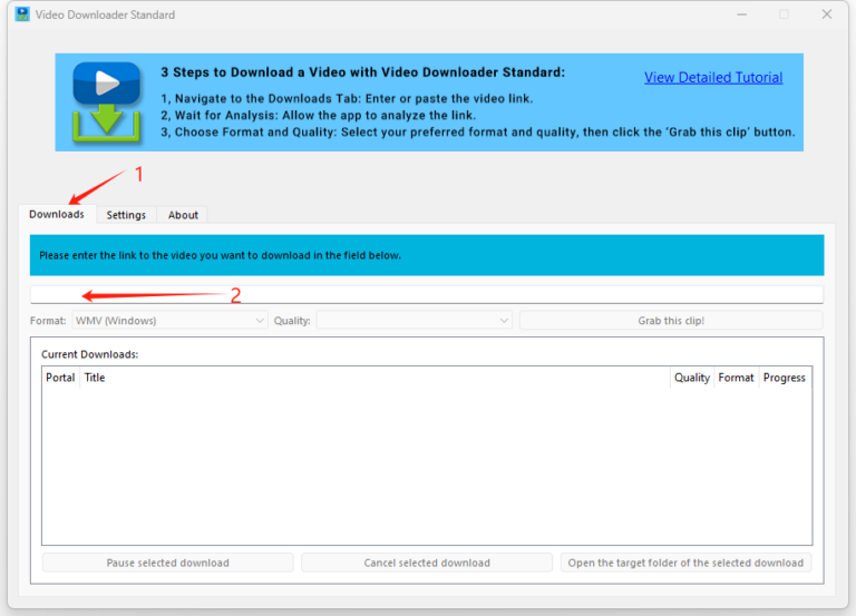 Video Downloader Standard Online Tutorial – Page 2 – Xiaoya's Lab